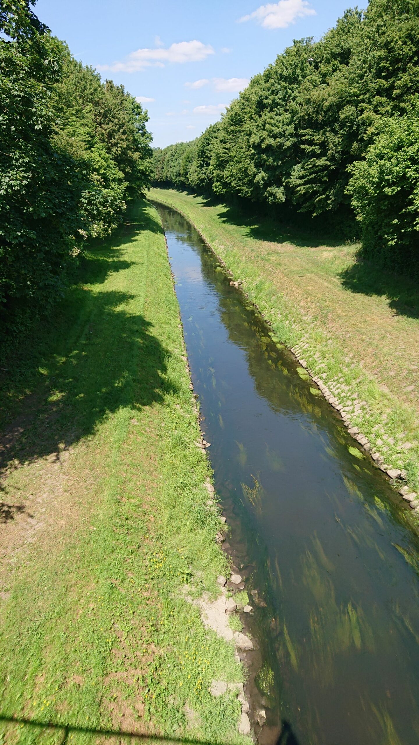 Alles im Fluss | H. Malorny